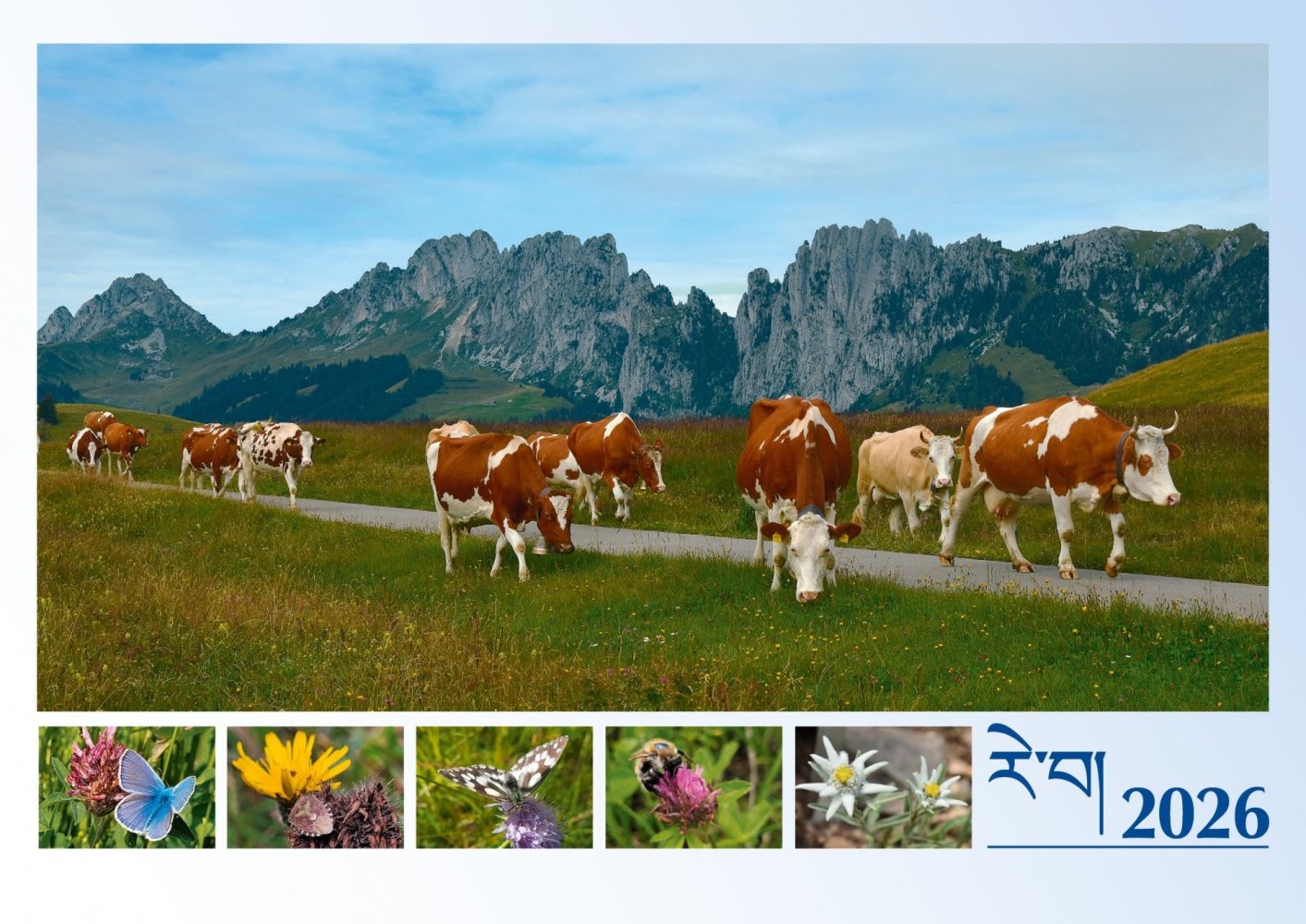 Wandkalender mit Bibelversen Hope 2026 - Tibetisch --> Mission für Süd ...